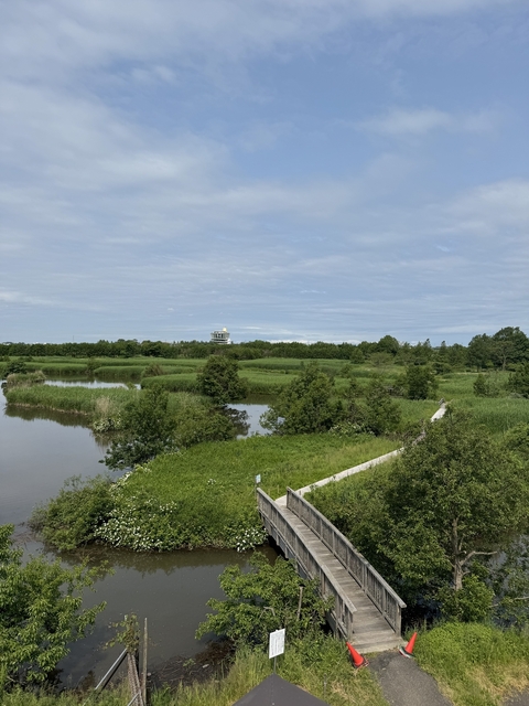 福島潟ジョグ＋Jexer錬（W＋B）・5/31: ファイターズ＠アスリートⅡ