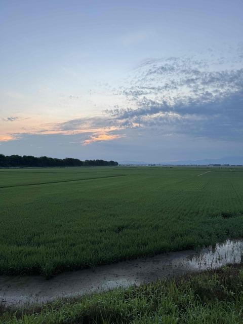 亀公朝練⑮＋Jexer錬（R）・7/1: ファイターズ＠アスリートⅡ