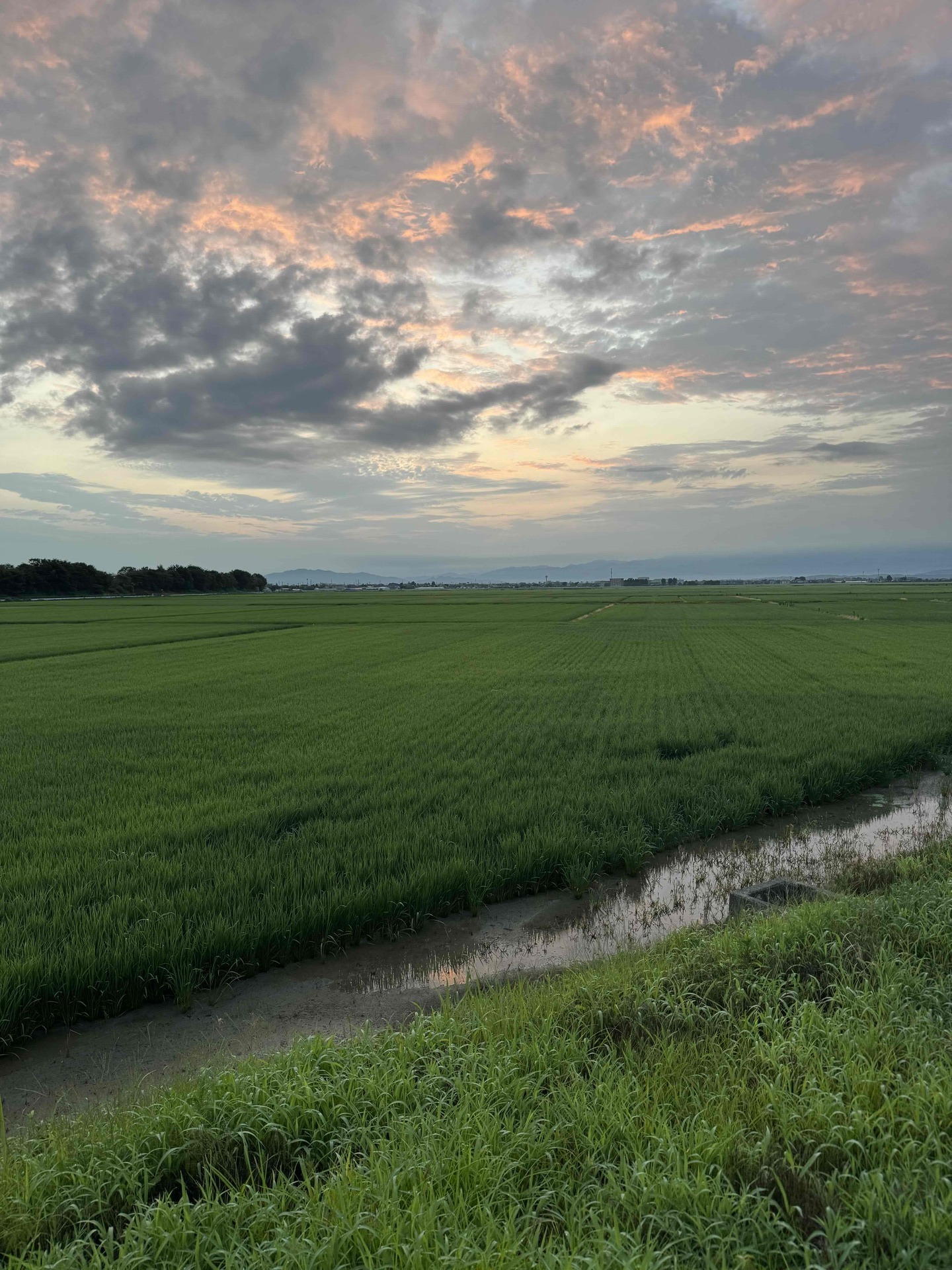 亀公朝練⑱＋Jexer錬（W）・7/10: ファイターズ＠アスリートⅡ